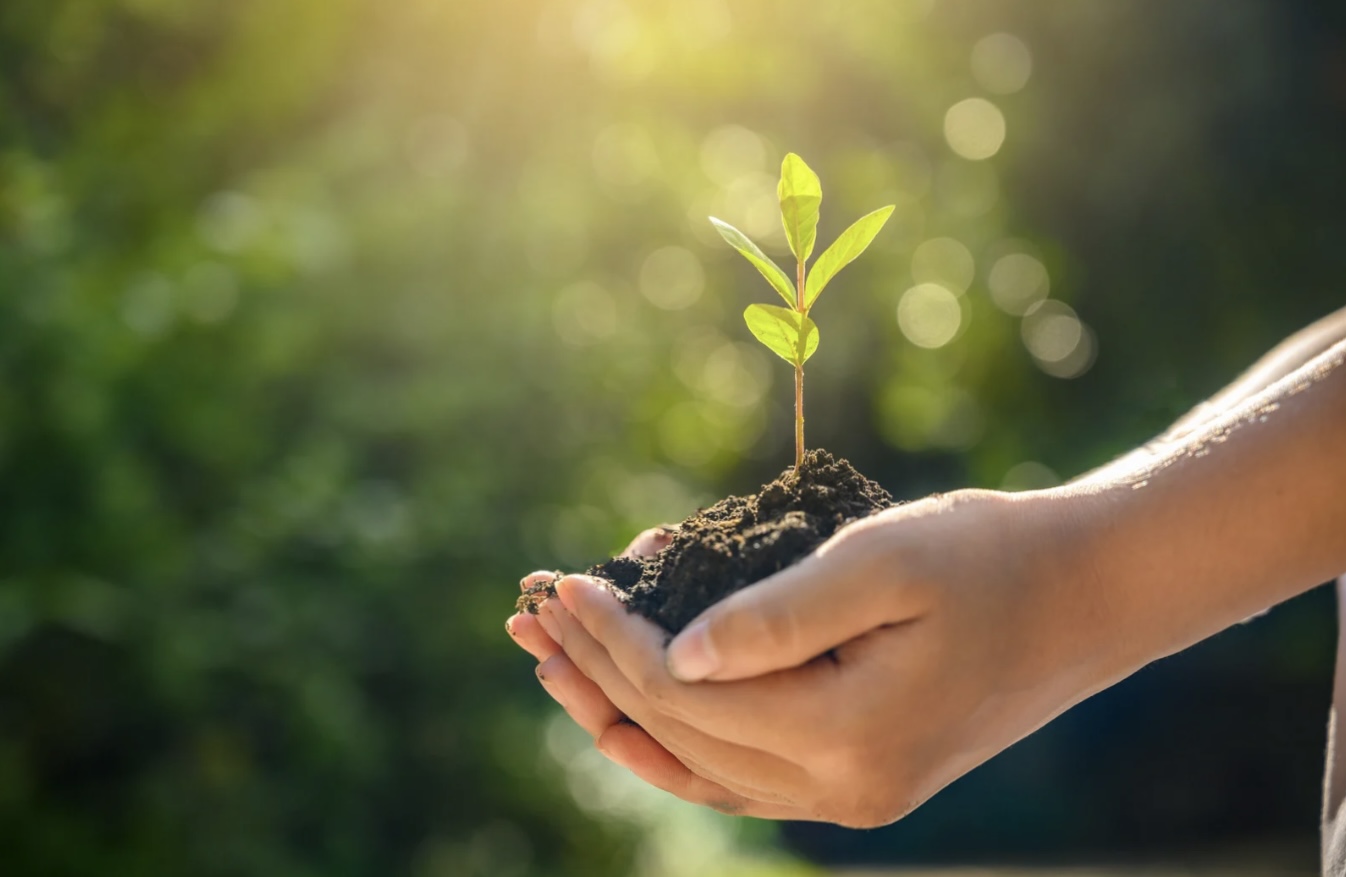 Helping Your Children Grow their Testimonies - Empower Latter Day Saint ...